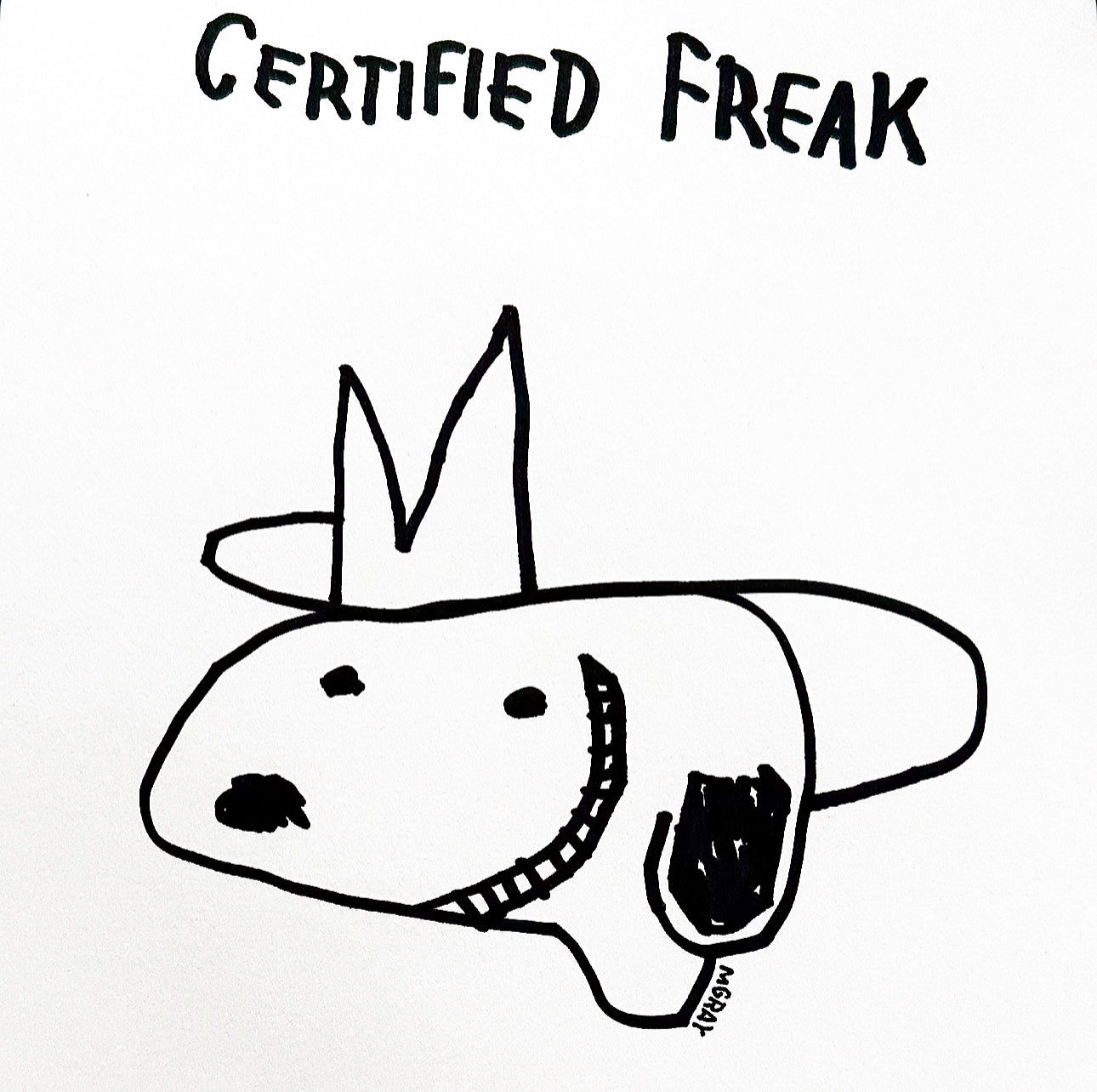 Certified Freak – Really Good Artist