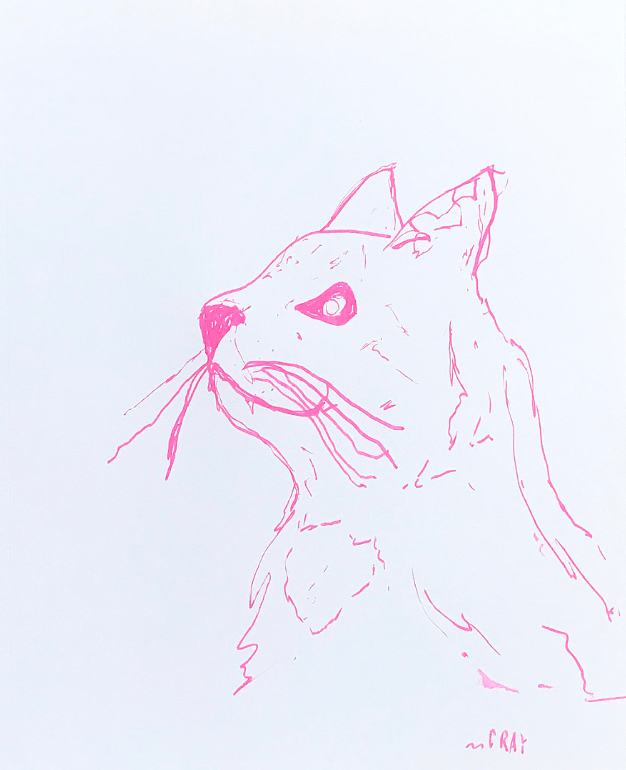 PINK CAT – Really Good Artist