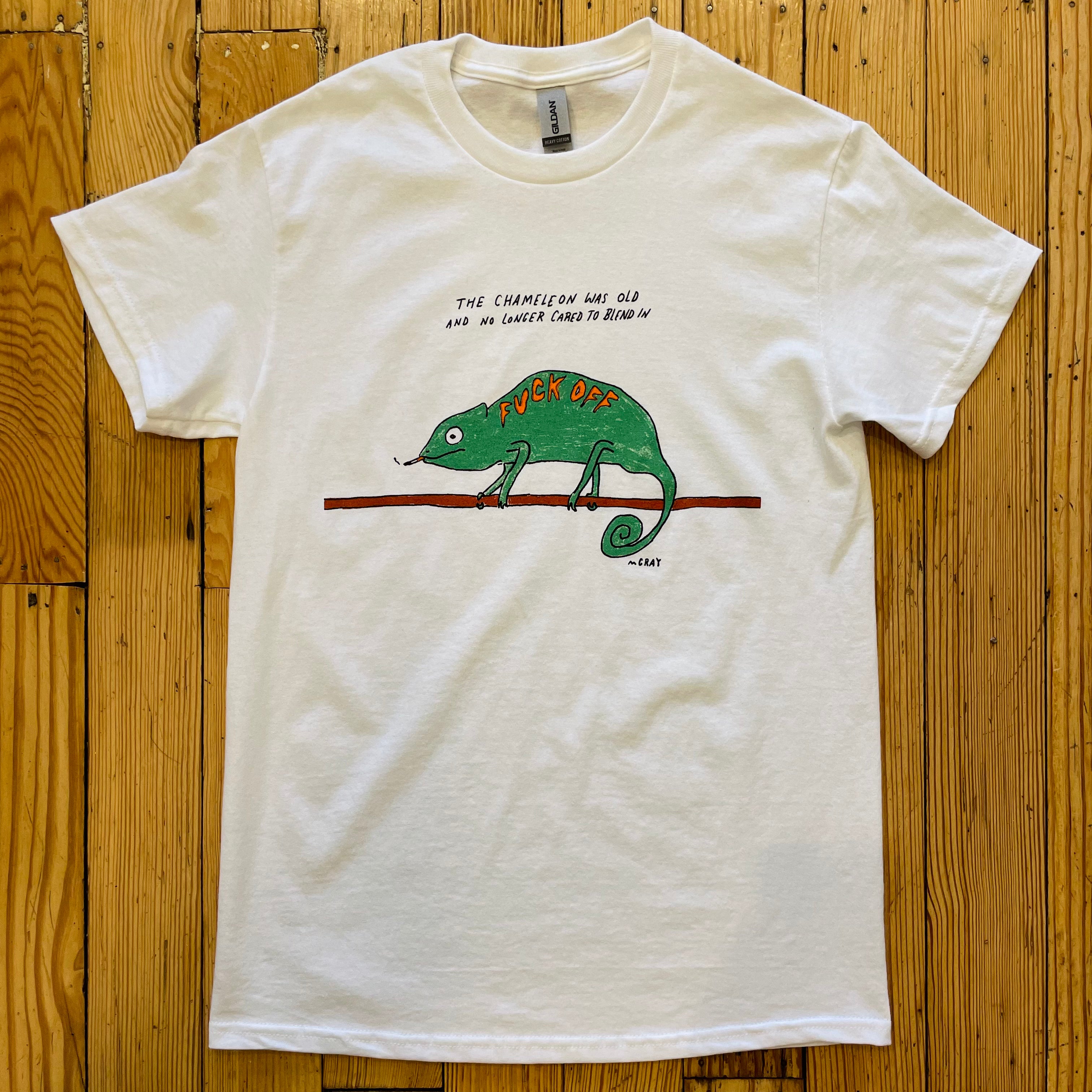 Chameleon – Really Good Artist